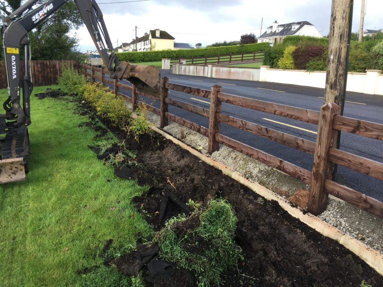 Planting a Successful Hedge - David Perry Gardens