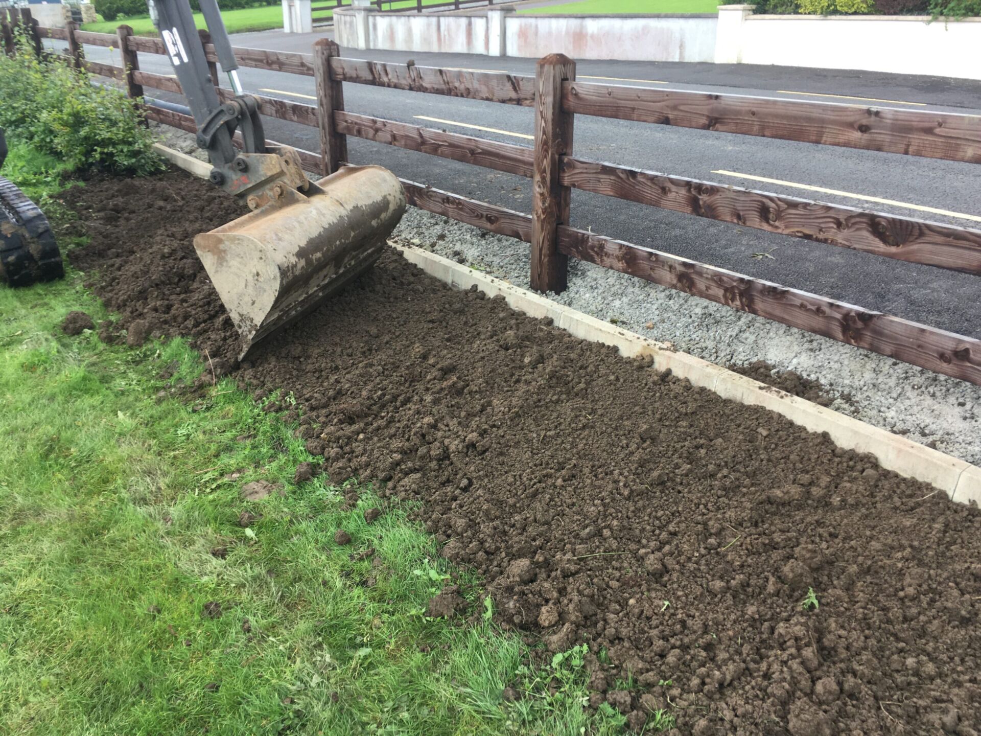 Planting a Successful Hedge - David Perry Gardens