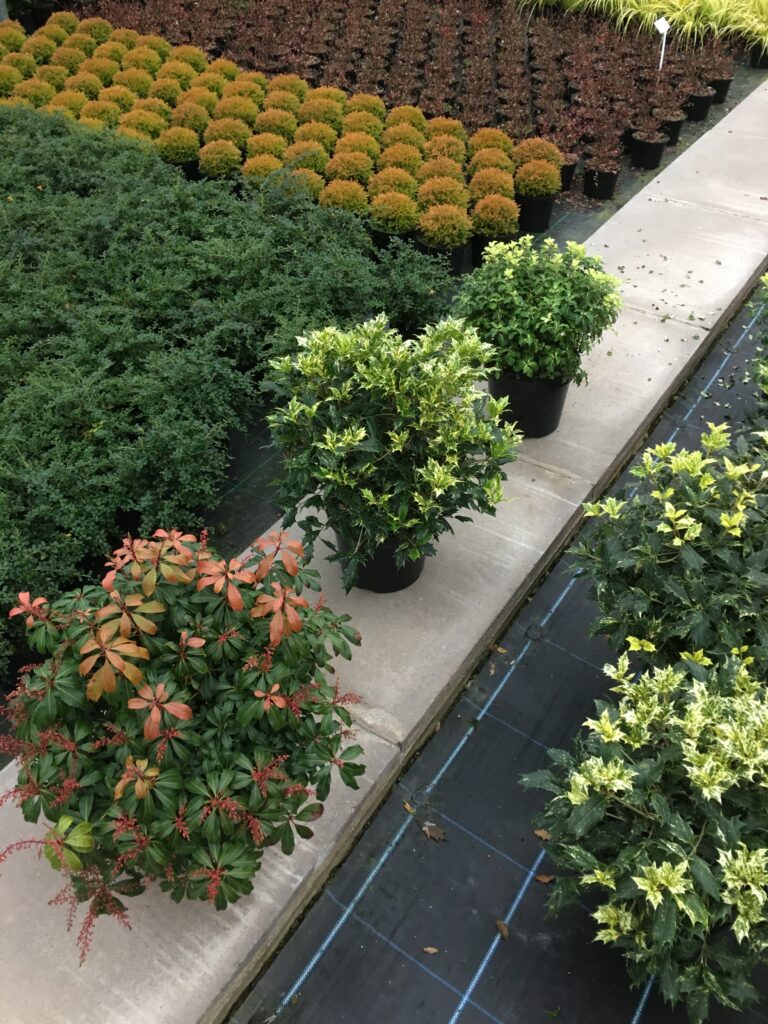 Gardening Supplies - David Perry Gardens