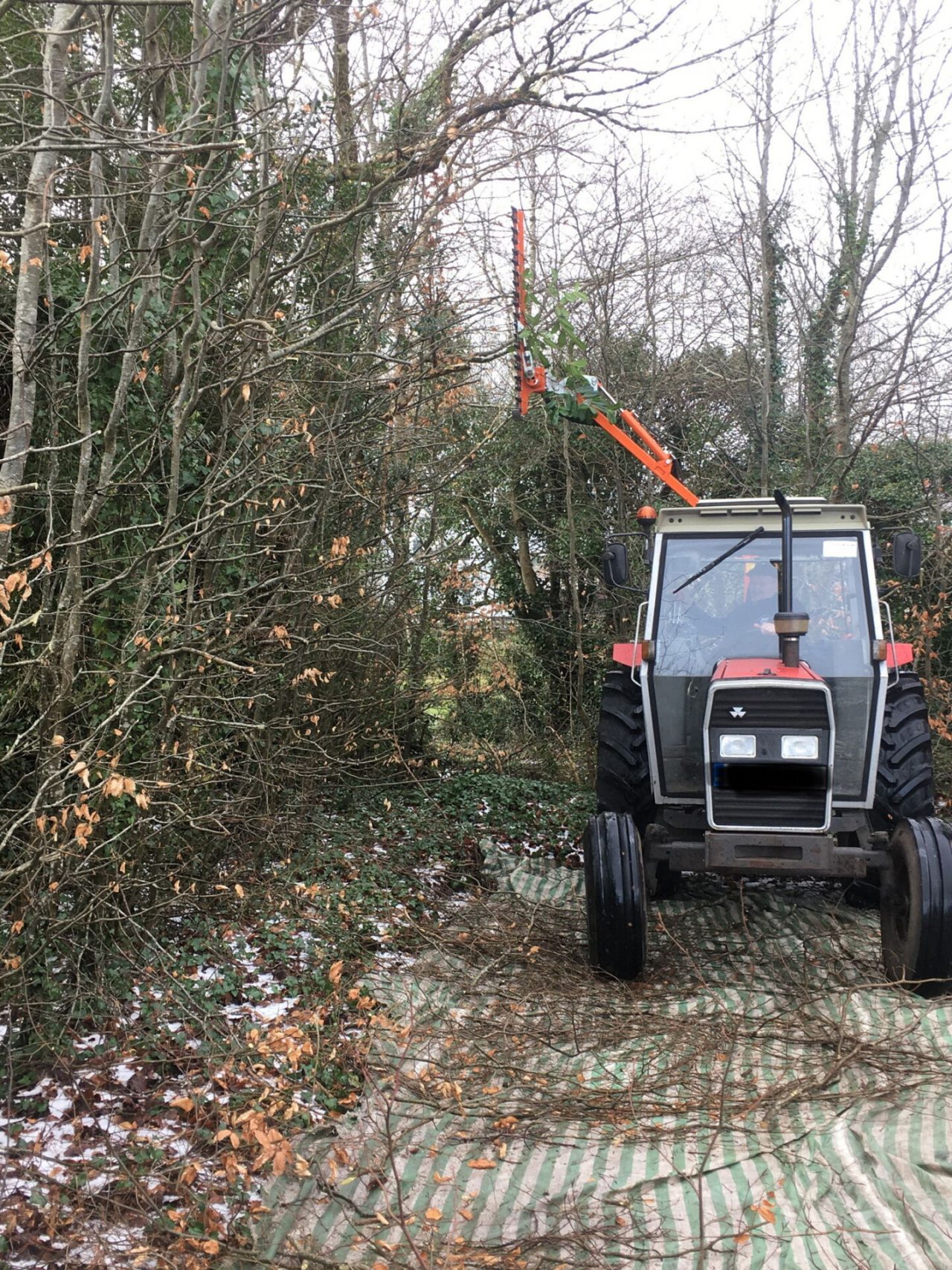 Tractor mounted garden hedge cutting - David Perry Gardens